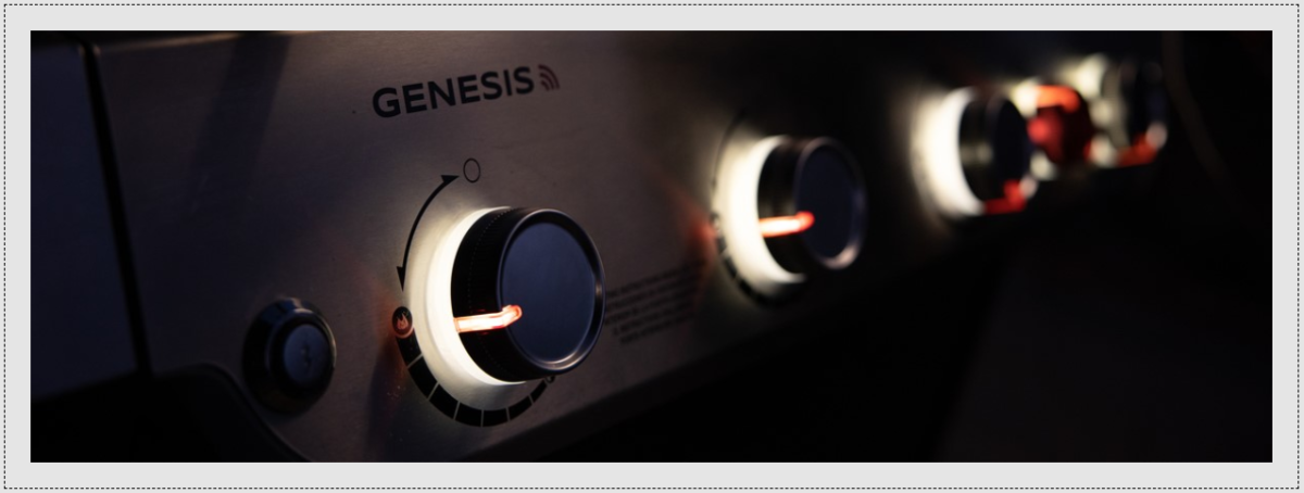 Weber Gasgrill Genesis EPX-335 Smart Grill Mod.2024 - Grillshop-24